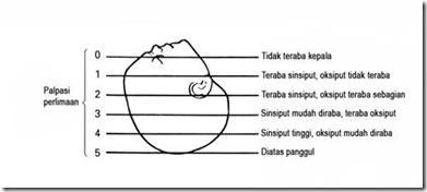 INFORMASI REPRODUKSI: KEMAJUAN PERSALINAN